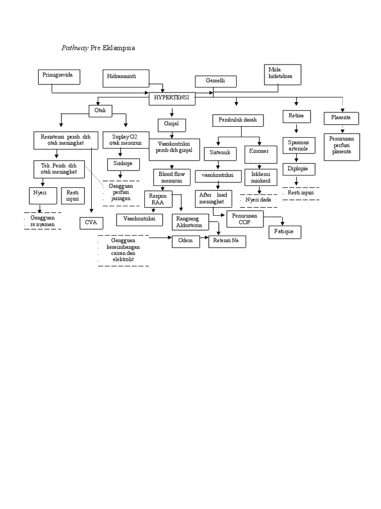 PreEclampsia Pathogenesis Calgary Guide