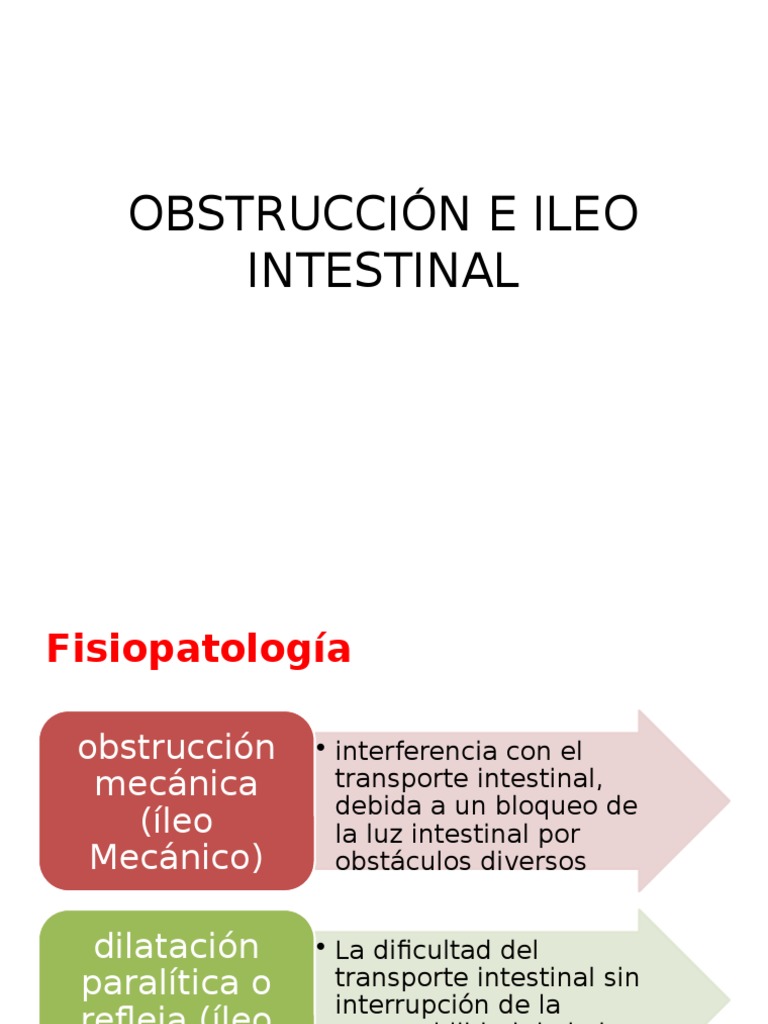 Obstrucción e Ileo Intestinal | PDF | Úlcera péptica | Estómago