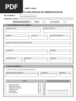 Solicitud de Plática - Formato | PDF