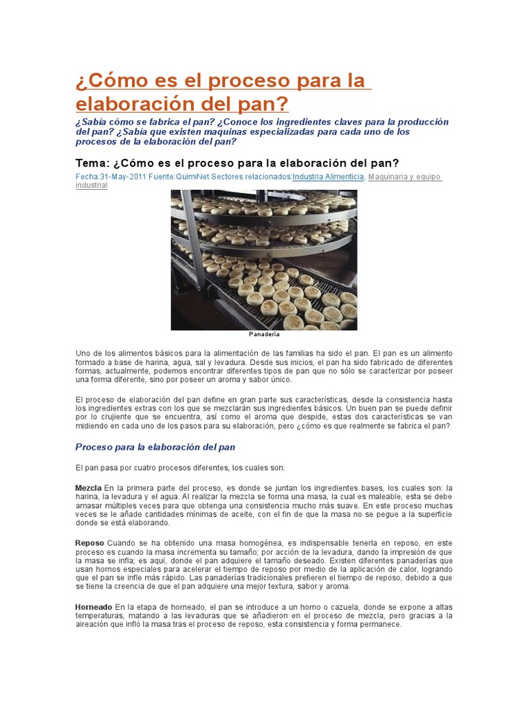 Cómo Es El Proceso para La Elaboración Del Pan | PDF | Panes | Levadura
