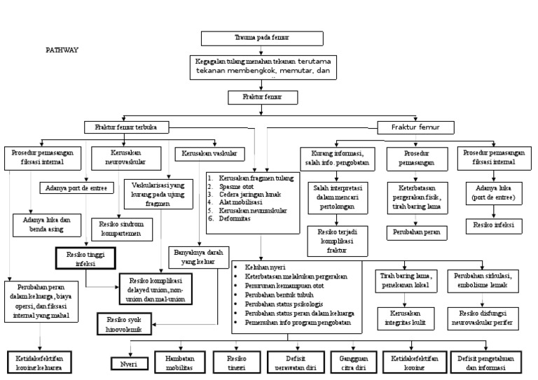 Pathway Fraktur Femur