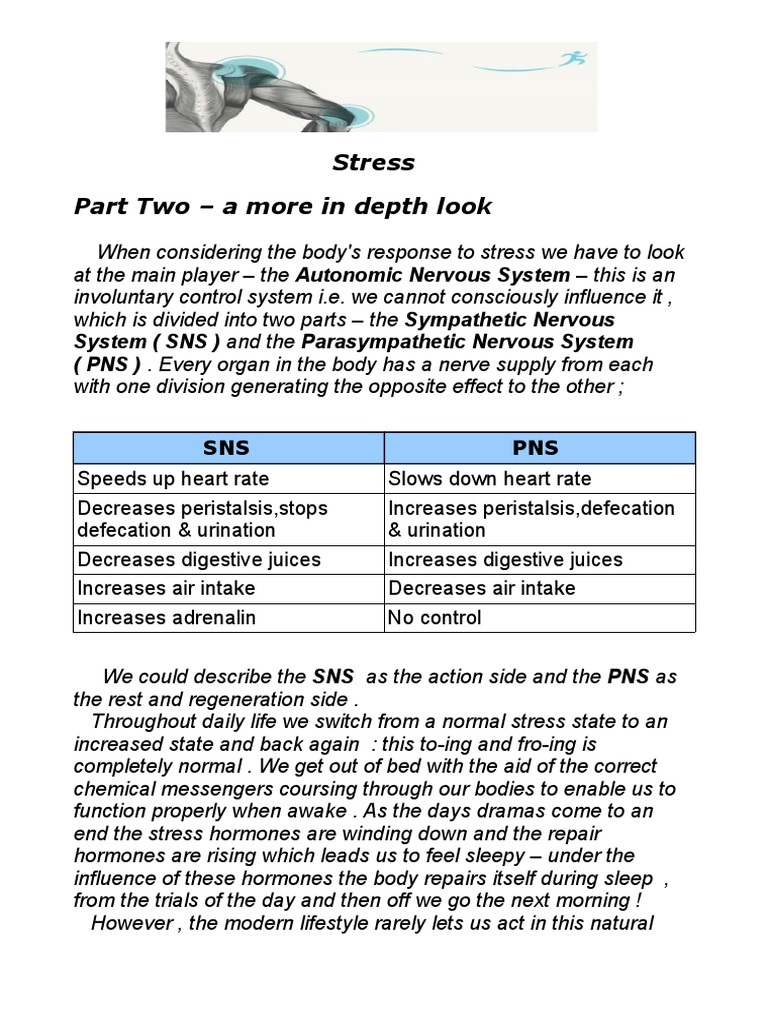 Stress Part 2 | PDF | Artery | Stress (Biology)