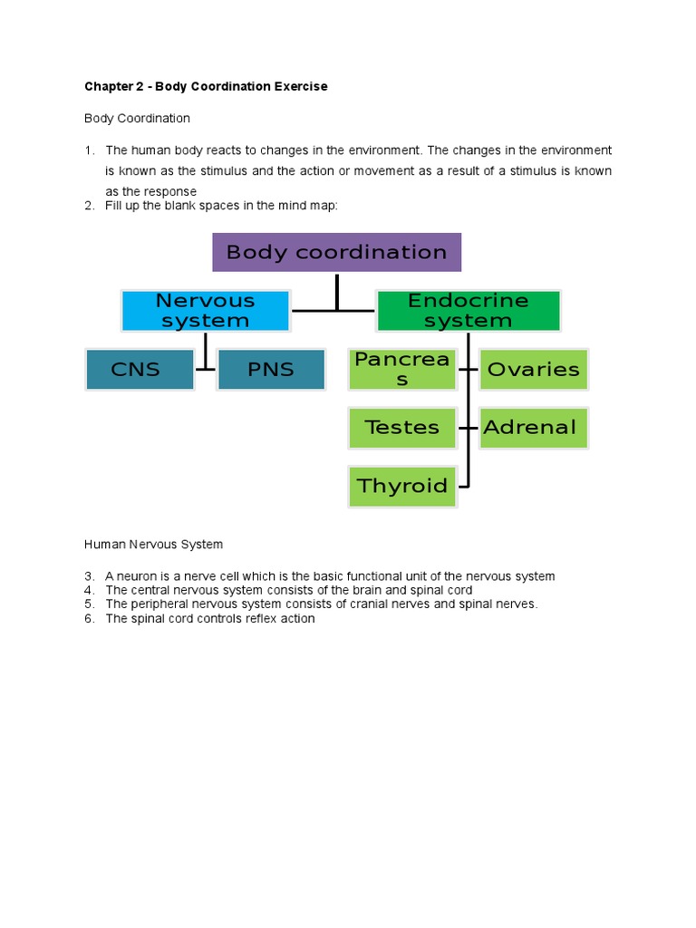 Form4 NOTES-Nervous System | PDF | Neuron | Stimulus (Physiology)