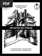 Anatomía de la Región Esternal | PDF | Tórax | Sistema esquelético