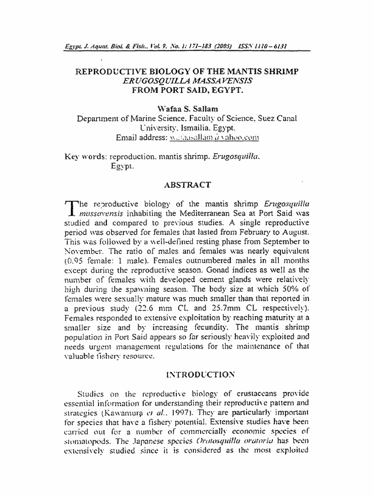 Reproductive Biology of Mantis Shrimp | PDF | Ovary | Spawn (Biology)