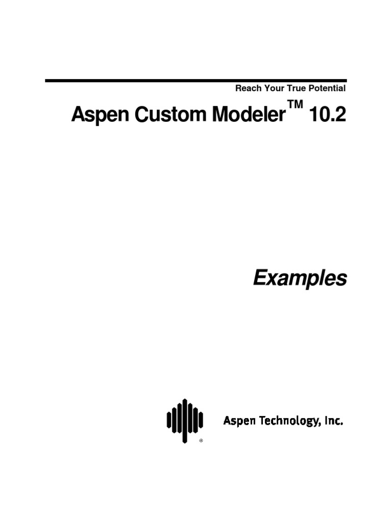 Aspen Custom Modeler 102 Examples 
