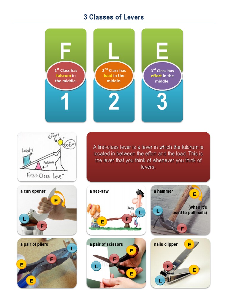 Science Notes Year 6 | PDF