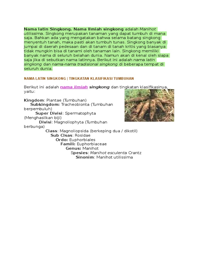 Nama Latin Singkong | PDF