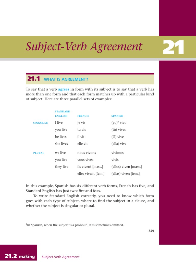 Spanish Subject Verb Agreement Examples