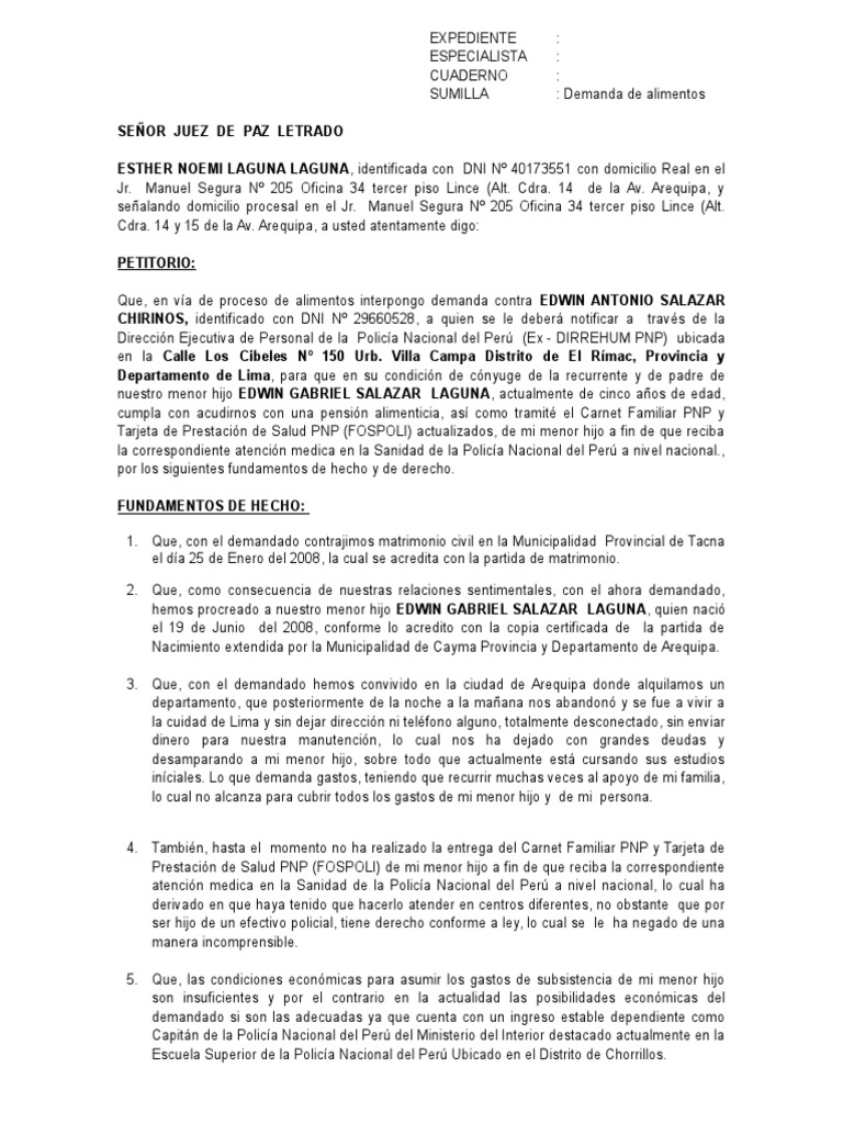 Demanda de Alimentos | PDF | Demanda judicial | Perú