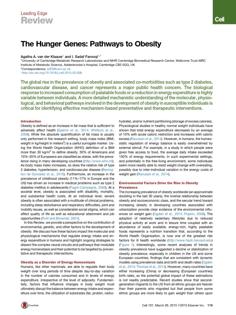 The Hunger Genes: Pathways to Obesity and Individual Susceptibility ...