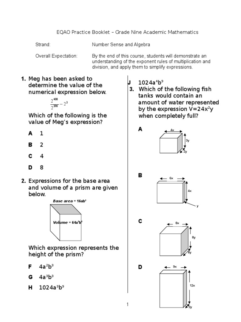 EQAO Practice Booklet Academic | PDF | Line (Geometry) | Surface Area