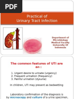 Aerococcus Urinae, Alloscardovia Omnicolens, and Actinotignum Schaalii ...
