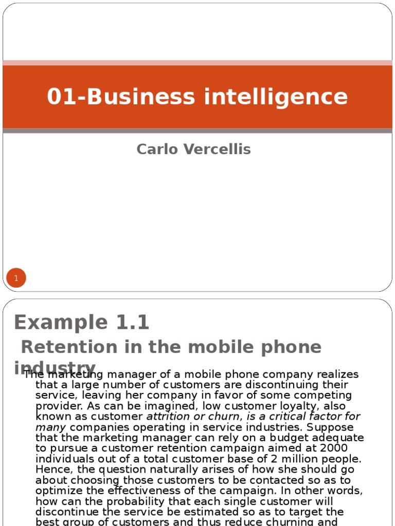 01 Business Intelligence | PDF | Business Intelligence | Data Mining