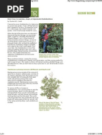 Janka Scale | PDF | Plant Life Form | Wood