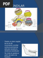 Diagrama de Posselt en Oclusión | PDF | Sistema musculoesquelético ...