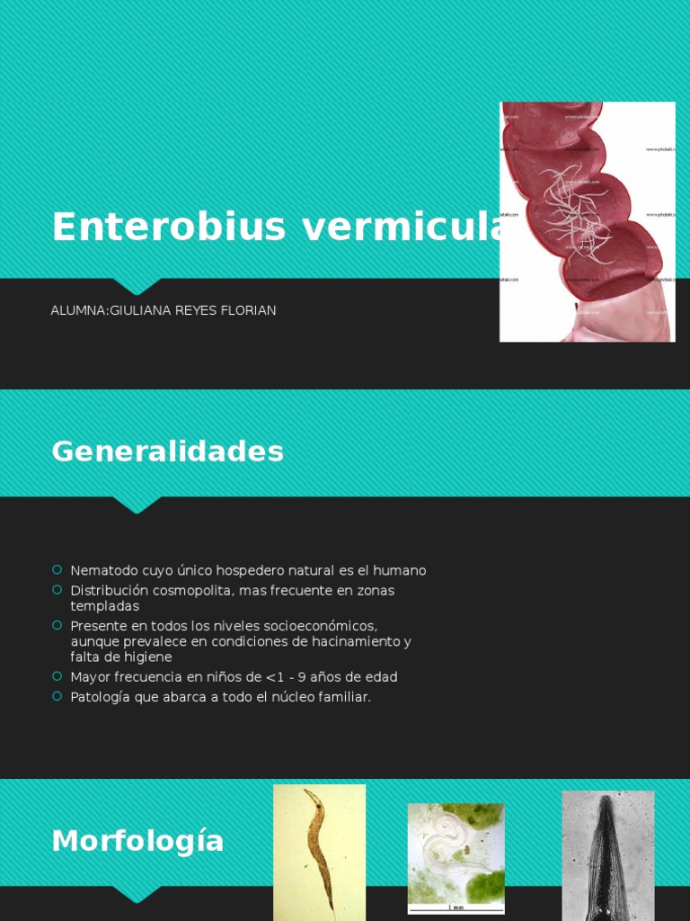 Enterobius Vermicularis | PDF | Enfermedades y trastornos | Ciencias de ...
