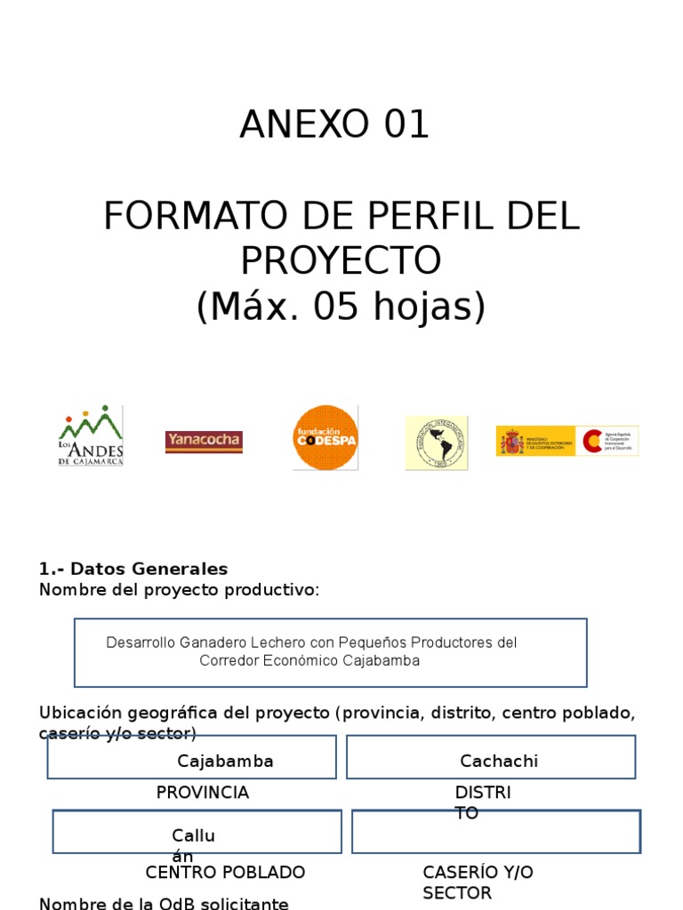 Formato de Perfil de Proyecto | PDF | Presupuesto | Leche
