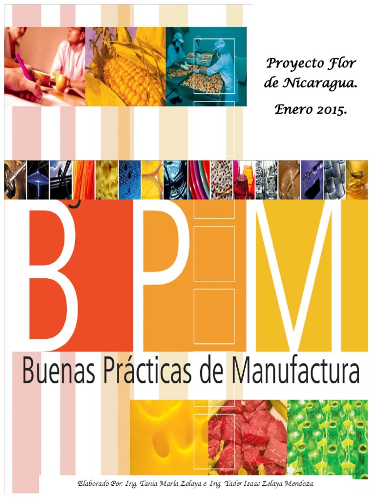 Manual BPM cap..pdf | Alimentos | Agua