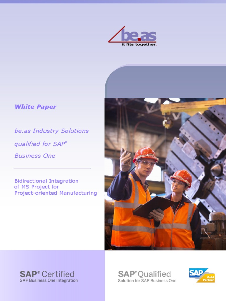 Beas MS Project White Paper V13.1 E | PDF | Microsoft Access | Computing