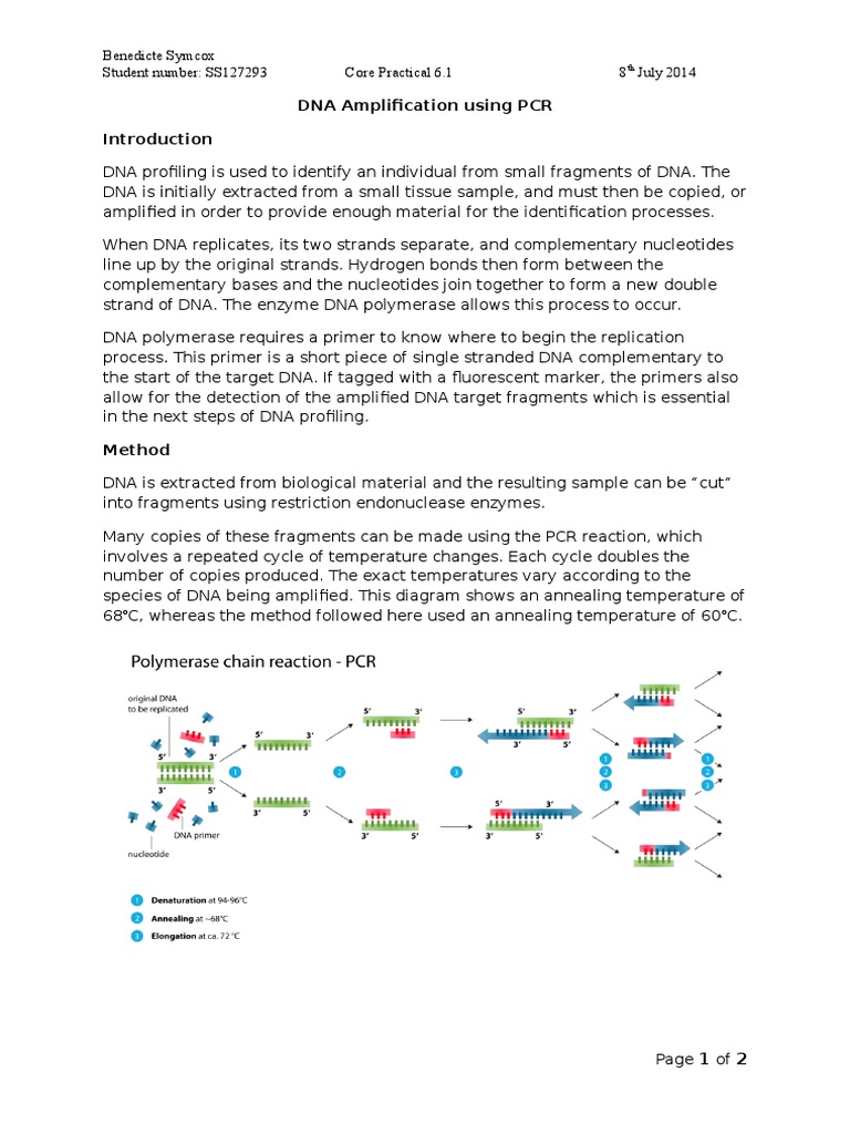 PCR Method for DNA Amplification | PDF | Polymerase Chain Reaction ...