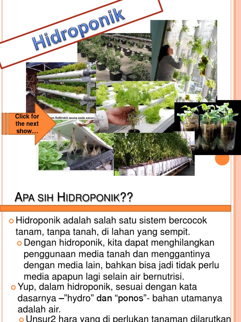 Panduan Lengkap Hidroponik Sederhana | PDF | Sains & Matematika