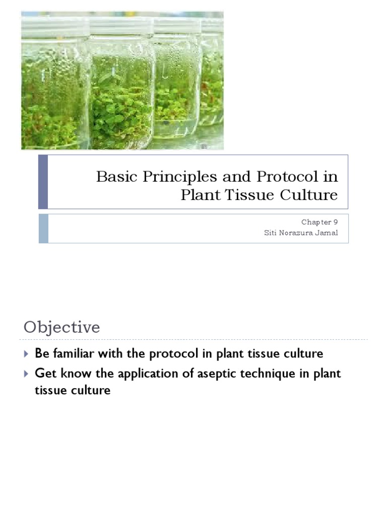 Basic Principles and Protocol in Plant Tissue Culture | PDF | Growth ...