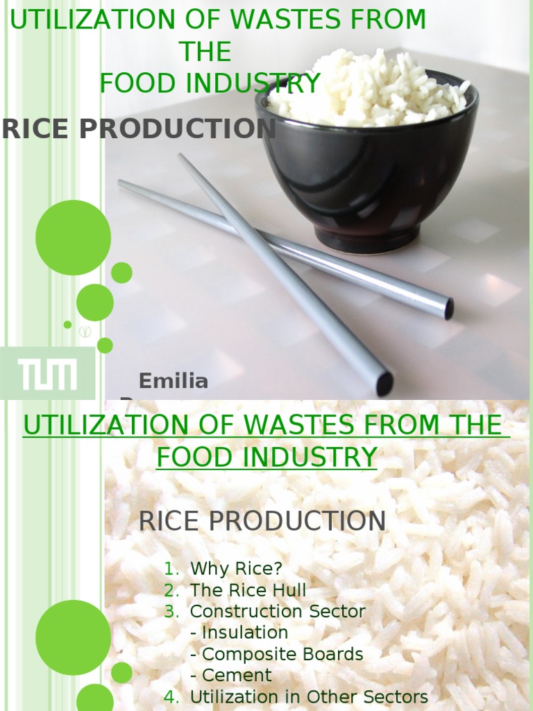 Utilization of Waste From Rice Production | Rice | Cement