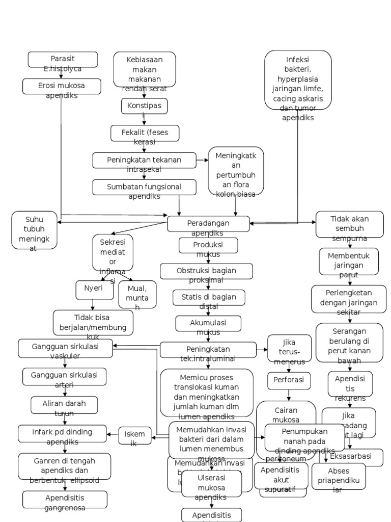Patofisiologi Appendicitis | PDF