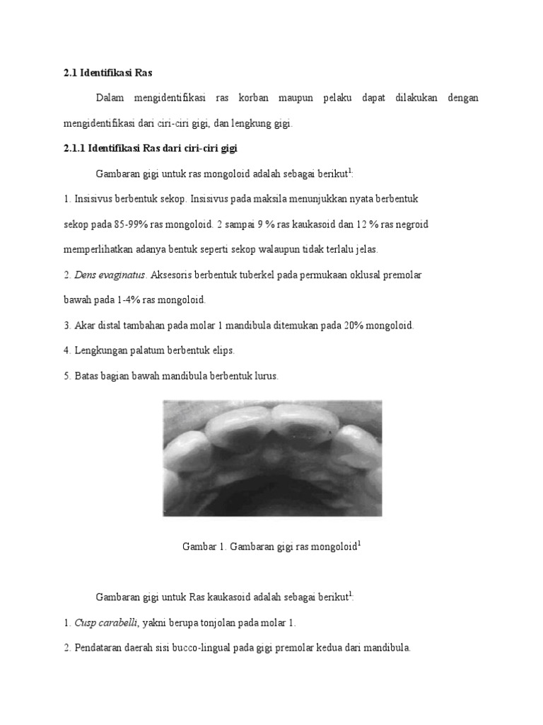 Odontologi Forensik | PDF