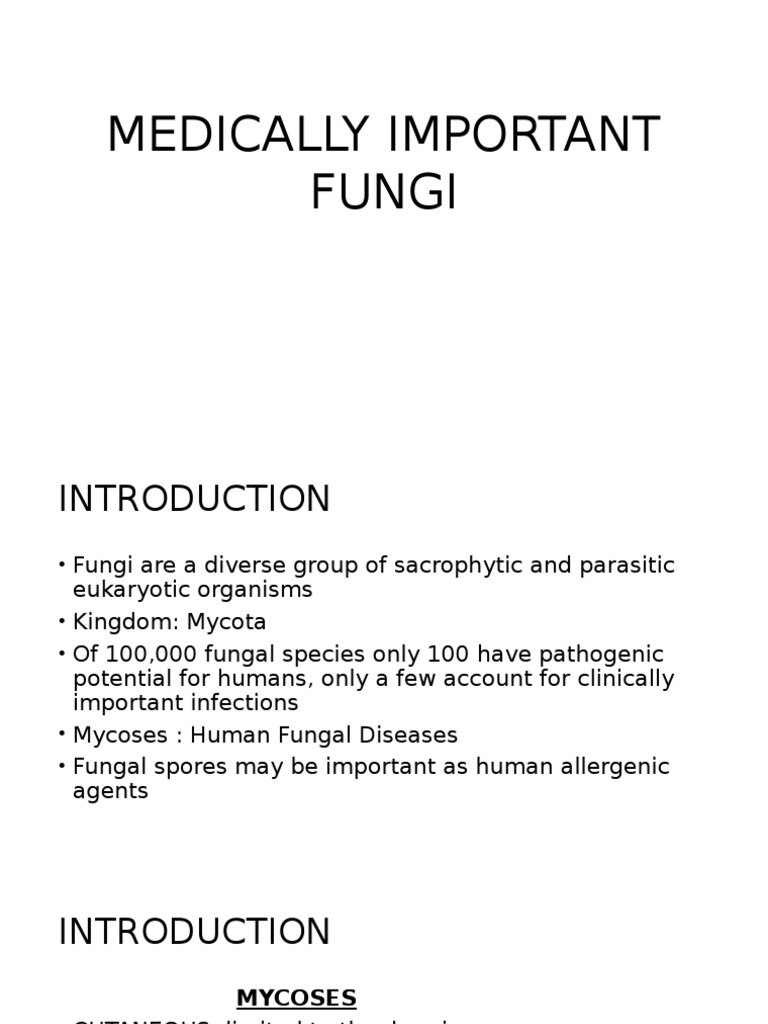 Fungal Classification and Mycoses Overview | PDF | Fungus | Microbiology