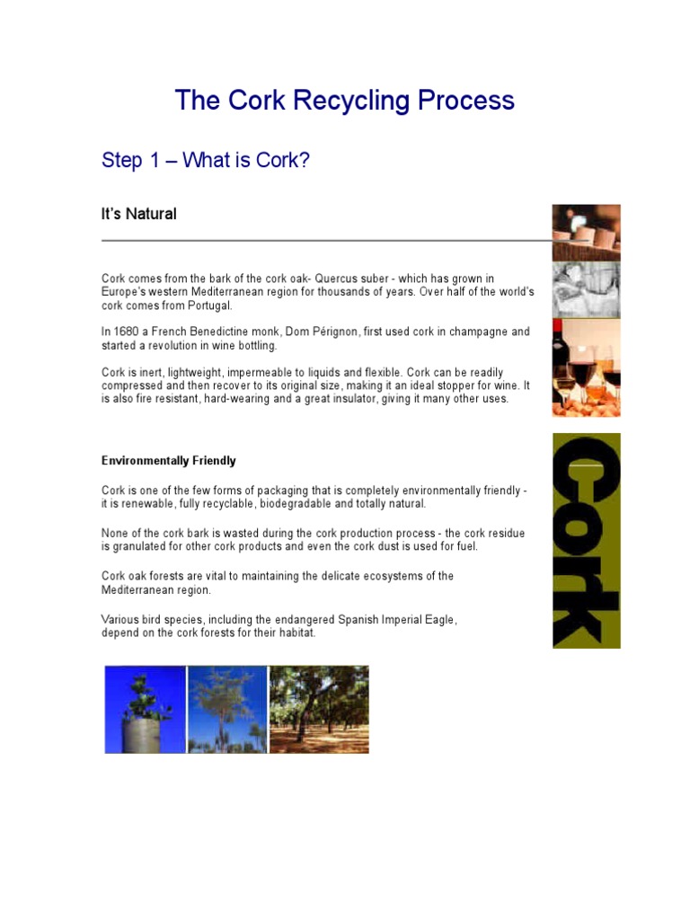 Cork Recycling Process | Download Free PDF | Waste | Agriculture