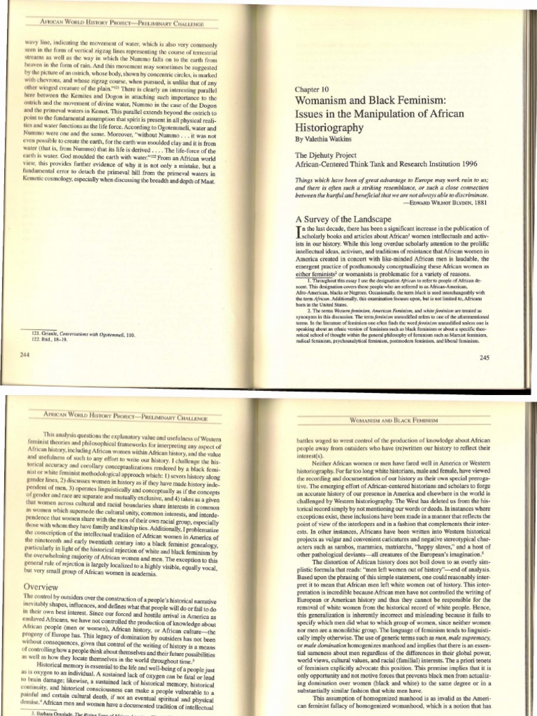 Womanism vs. Black Feminism Analysis | PDF | Black Feminism | Feminism