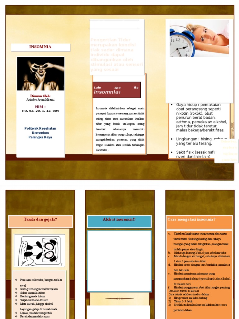 Leaflet Insomnia | PDF