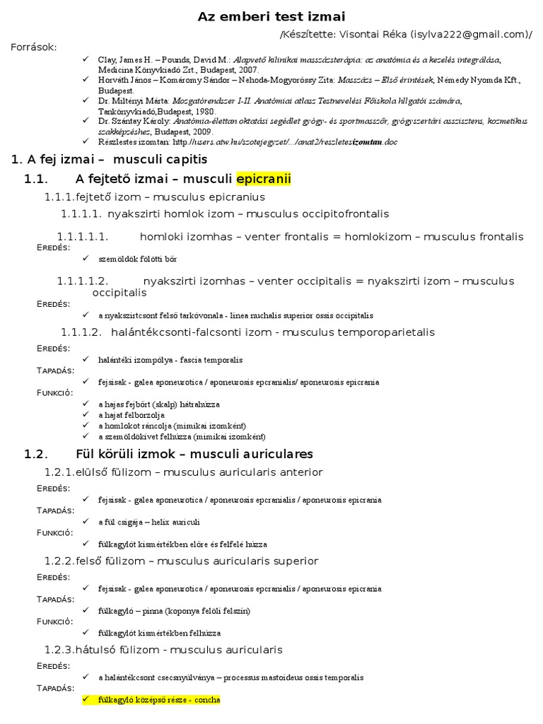 Az Emberi Test Izmai | PDF