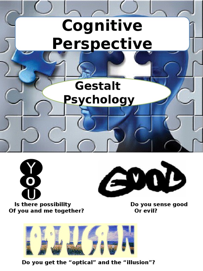 Cognitive Perspective | PDF | Subjective Experience | Experimental ...