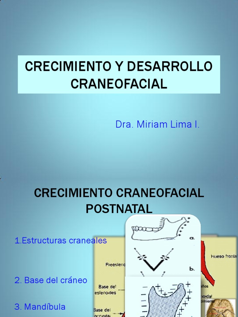 Crecimiento y Desarrollo Craneofacial | Diente | Anatomía humana