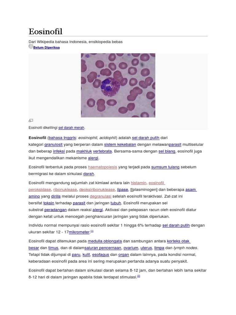 Eosinofil | PDF