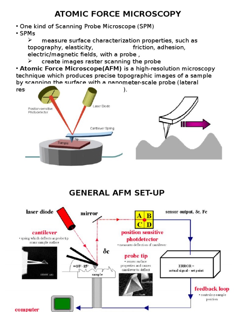 Afm | Microscopy | Laboratories