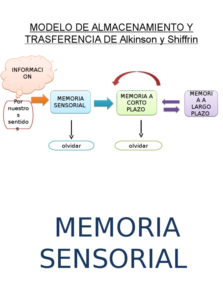 Memoria Sensorial | PDF