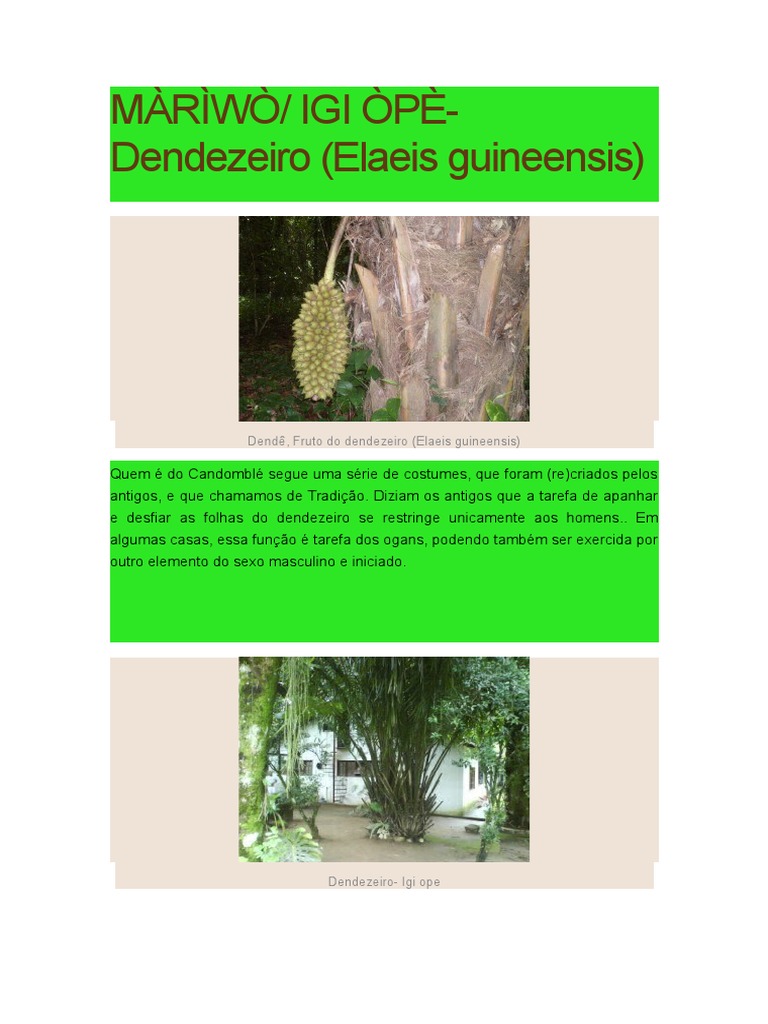 MÀRÌWÒ | PDF | Santeria | Religião e crença