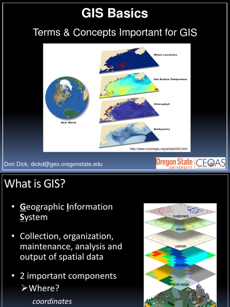 GIS Basics: Terms & Concepts Important For GIS | PDF | Arc Gis | Esri