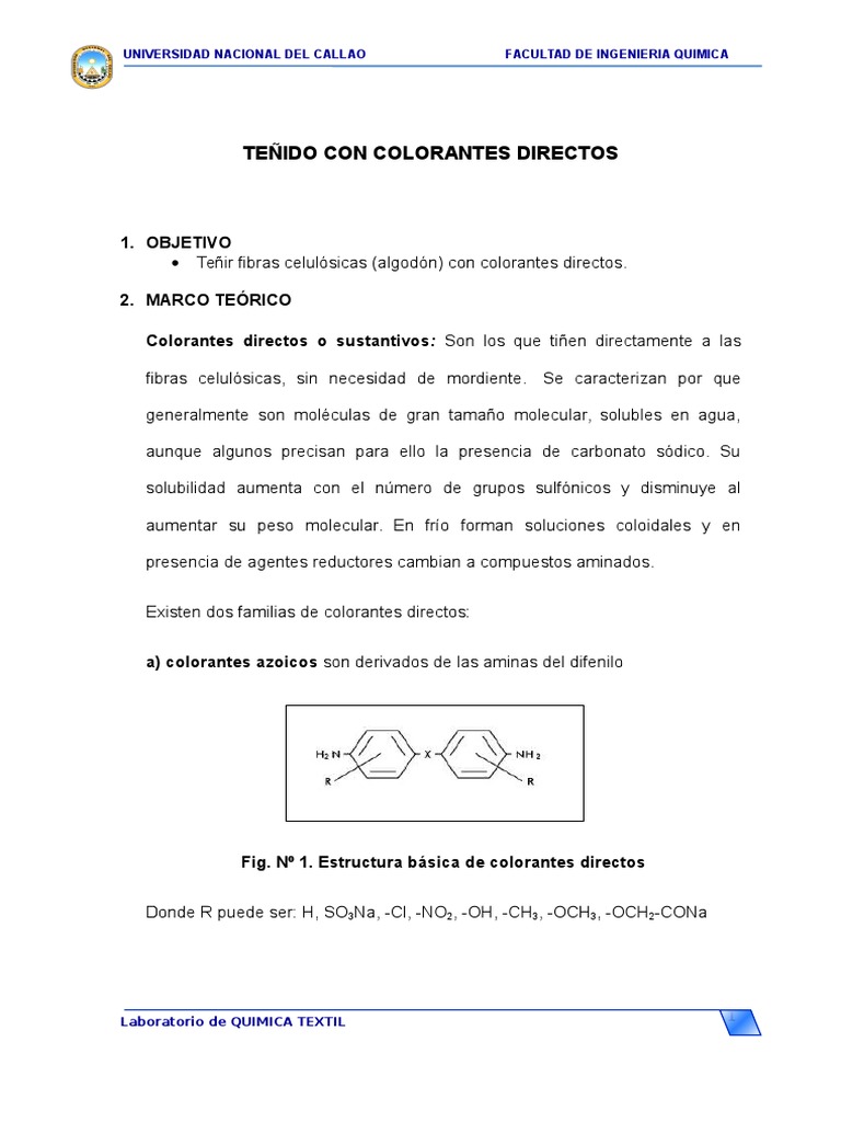 Teñido Con Colorantes Directos | PDF | Solubilidad | Sustancias químicas