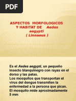 Ciclo Del Aedes Aegypti | PDF | Mosquito | Aedes aegypti