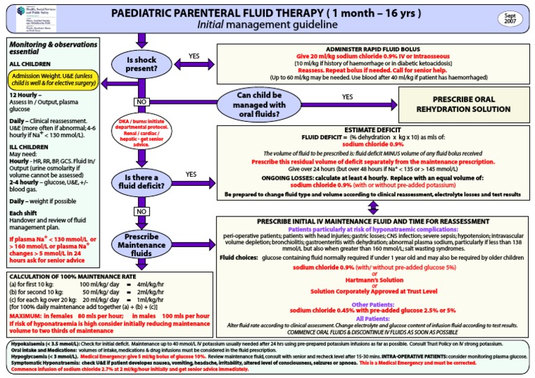Paed Parenteral Fluid Thy | PDF | Intravenous Therapy | Medical Specialties