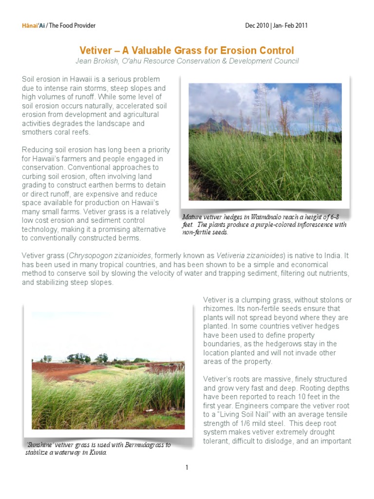 V6 Brokish Vetiver | PDF | Hedge | Erosion