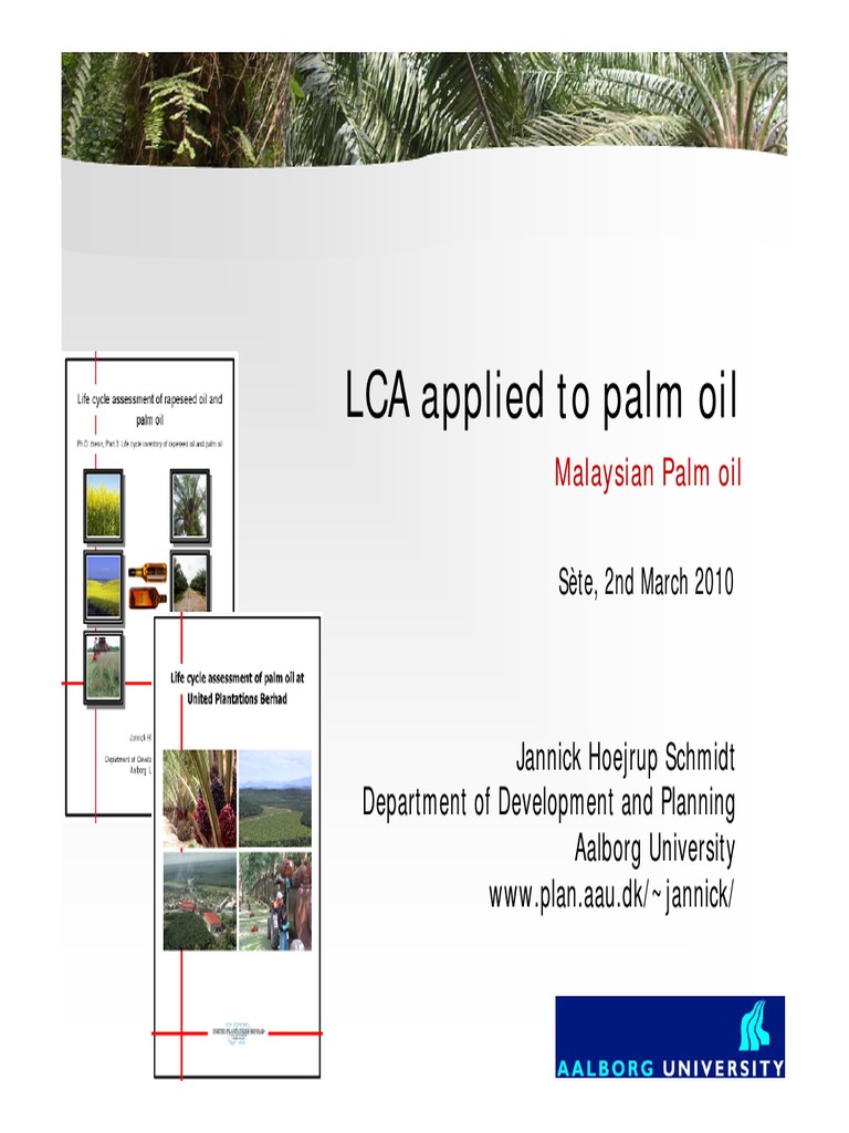 Lca in Pom | PDF | Palm Oil | Life Cycle Assessment