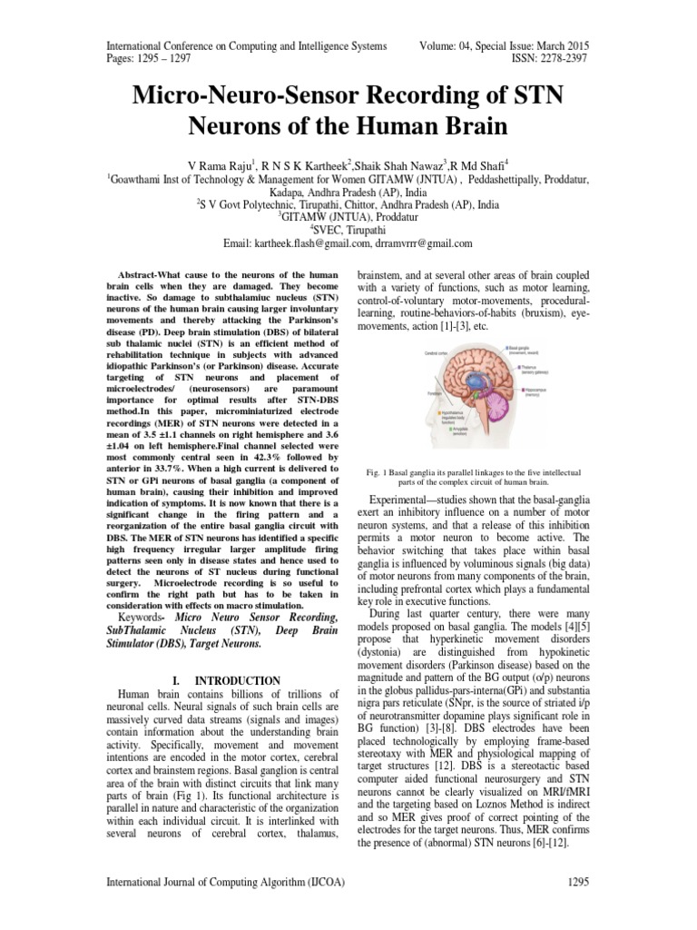 Effectual Data Integrity Checking Technique Based On Number Theory Pdf Basal Ganglia
