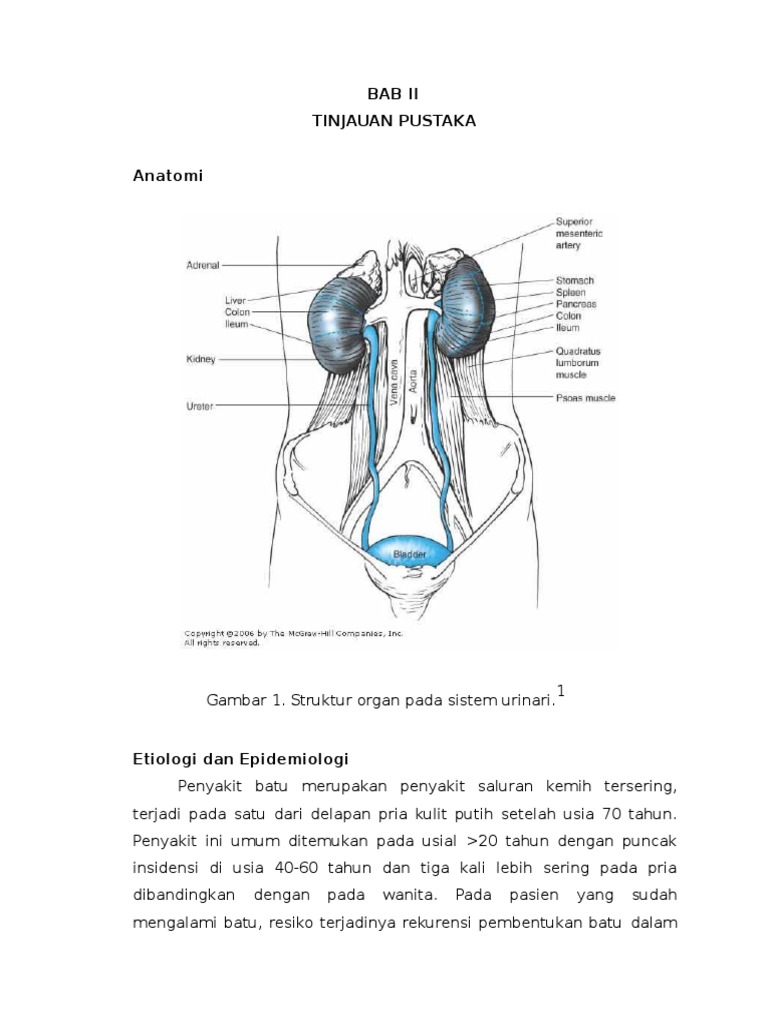 BAB II Tinjauan Pustaka Nefrolitiasis | PDF | Sains & Matematika