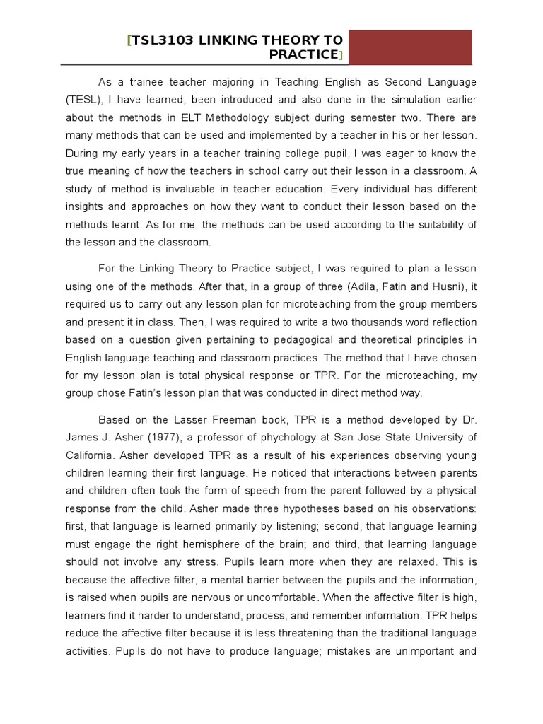 Linking Theory To Practice Reflection | PDF | Neuropsychology | Cognition